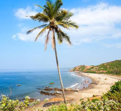 Cab Taxi Service in Goa Online Get 10% off at Green Goa Cabs